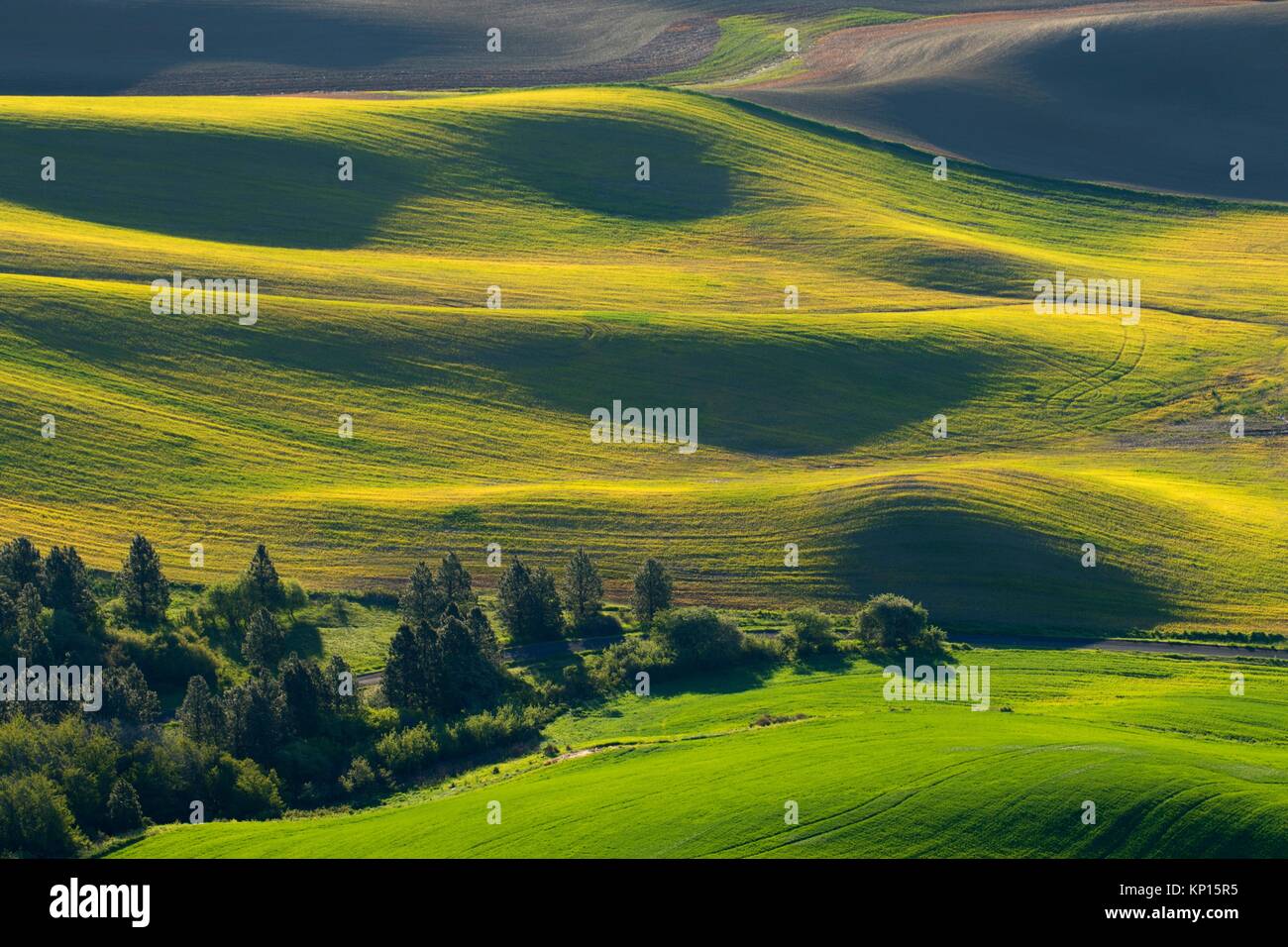 Steptoe Butte High Resolution Stock Photography and Images - Alamy