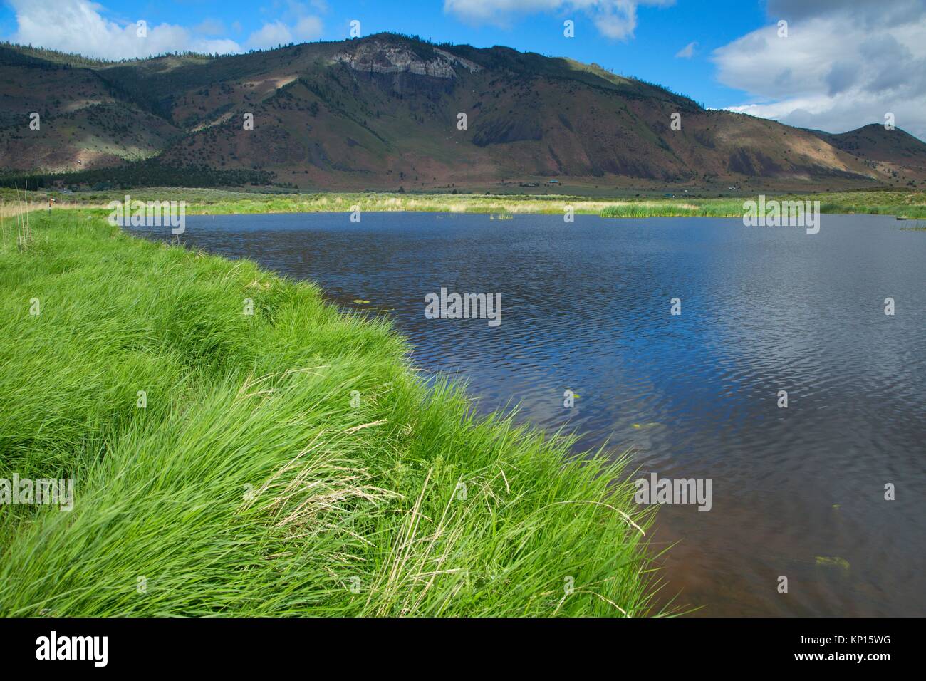 Rim of pond hi-res stock photography and images - Alamy