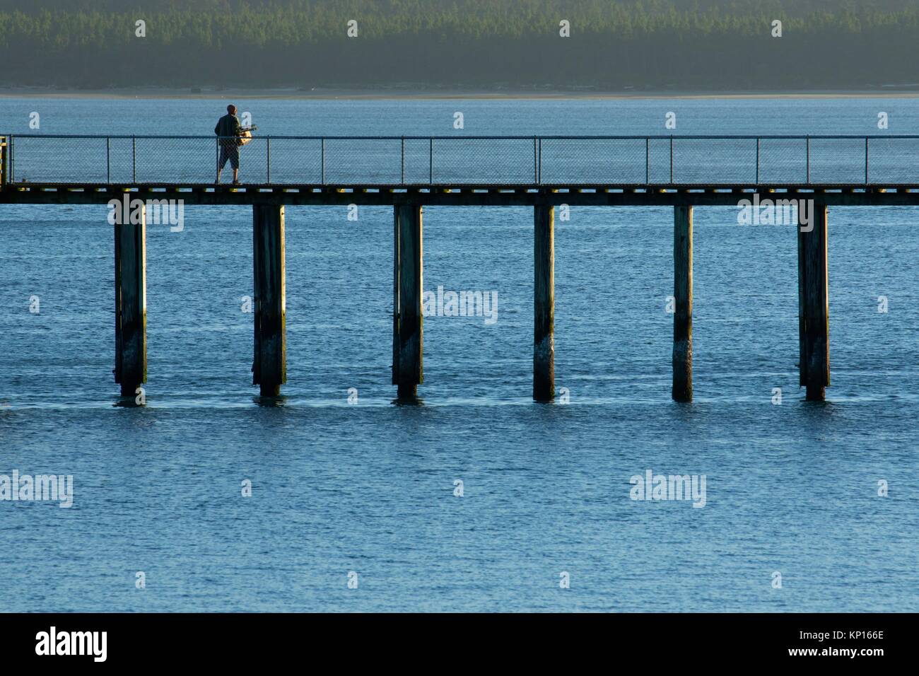 Garibaldi oregon coast hi-res stock photography and images - Alamy
