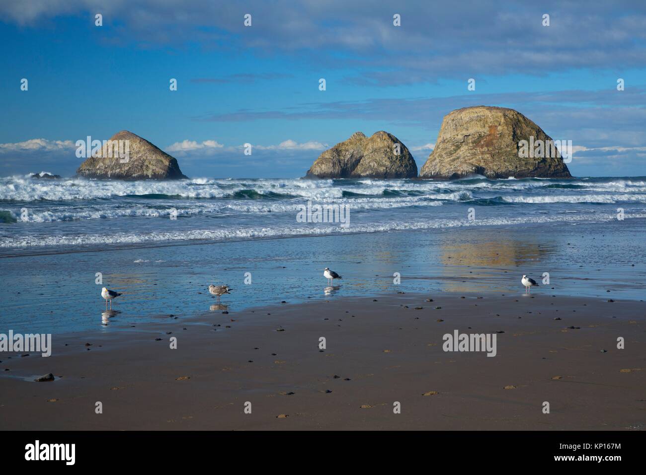 Three Arch Rocks Oregon High Resolution Stock Photography and Images ...