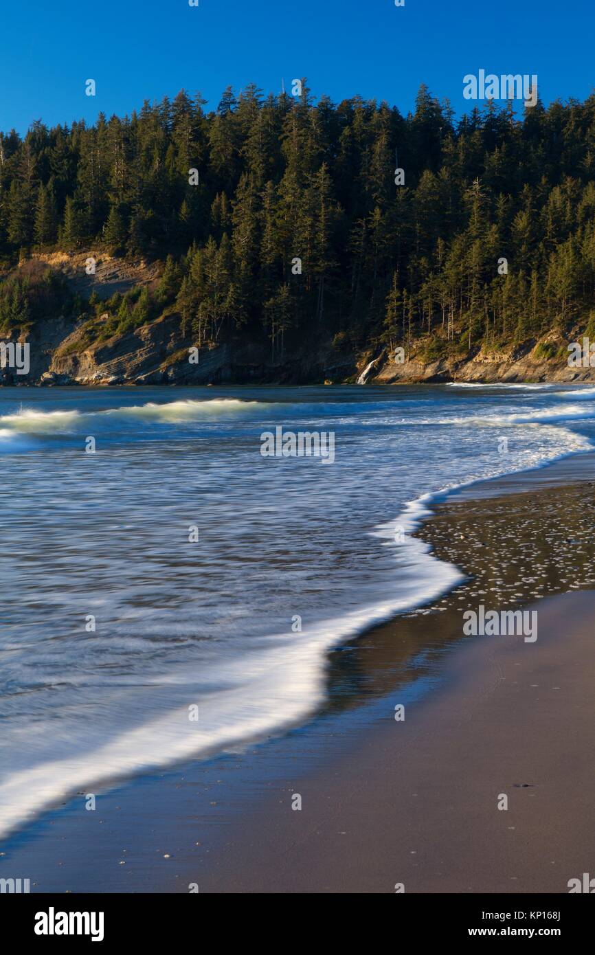 Short Sand Beach, Oswald West State Park, Oregon Stock Photo - Alamy