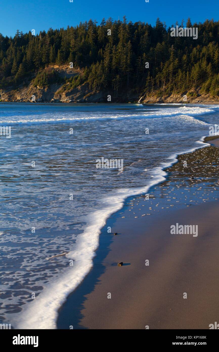 Short Sand Beach, Oswald West State Park, Oregon Stock Photo - Alamy
