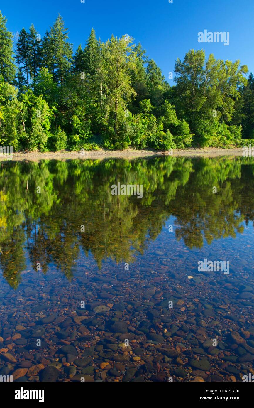 Willamette Mission State Park High Resolution Stock Photography and ...