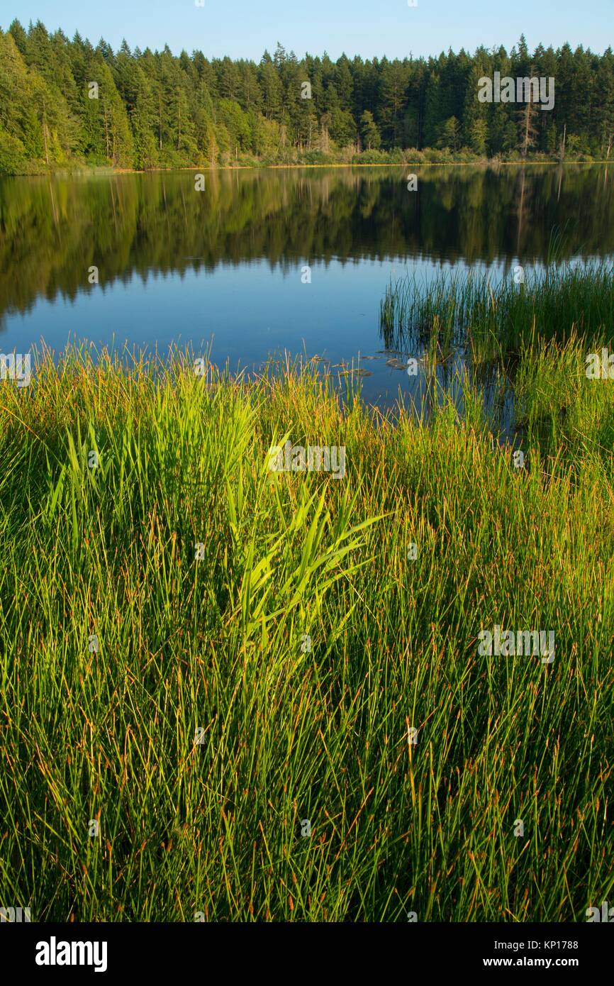 Anderson Lake County Park High Resolution Stock Photography and Images ...