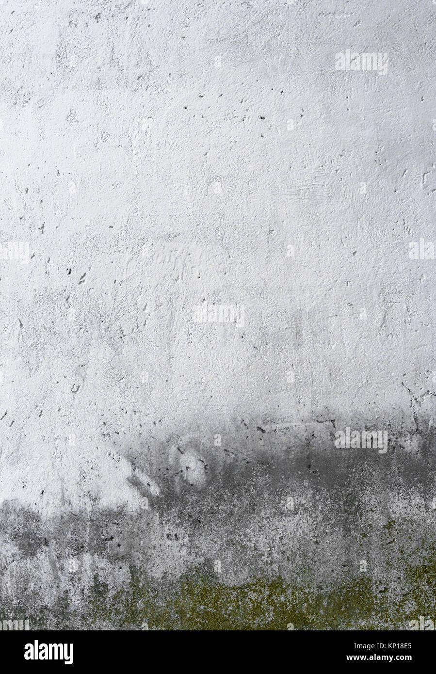 Dirty fungus or mold on the wall texture background Stock Photo - Alamy