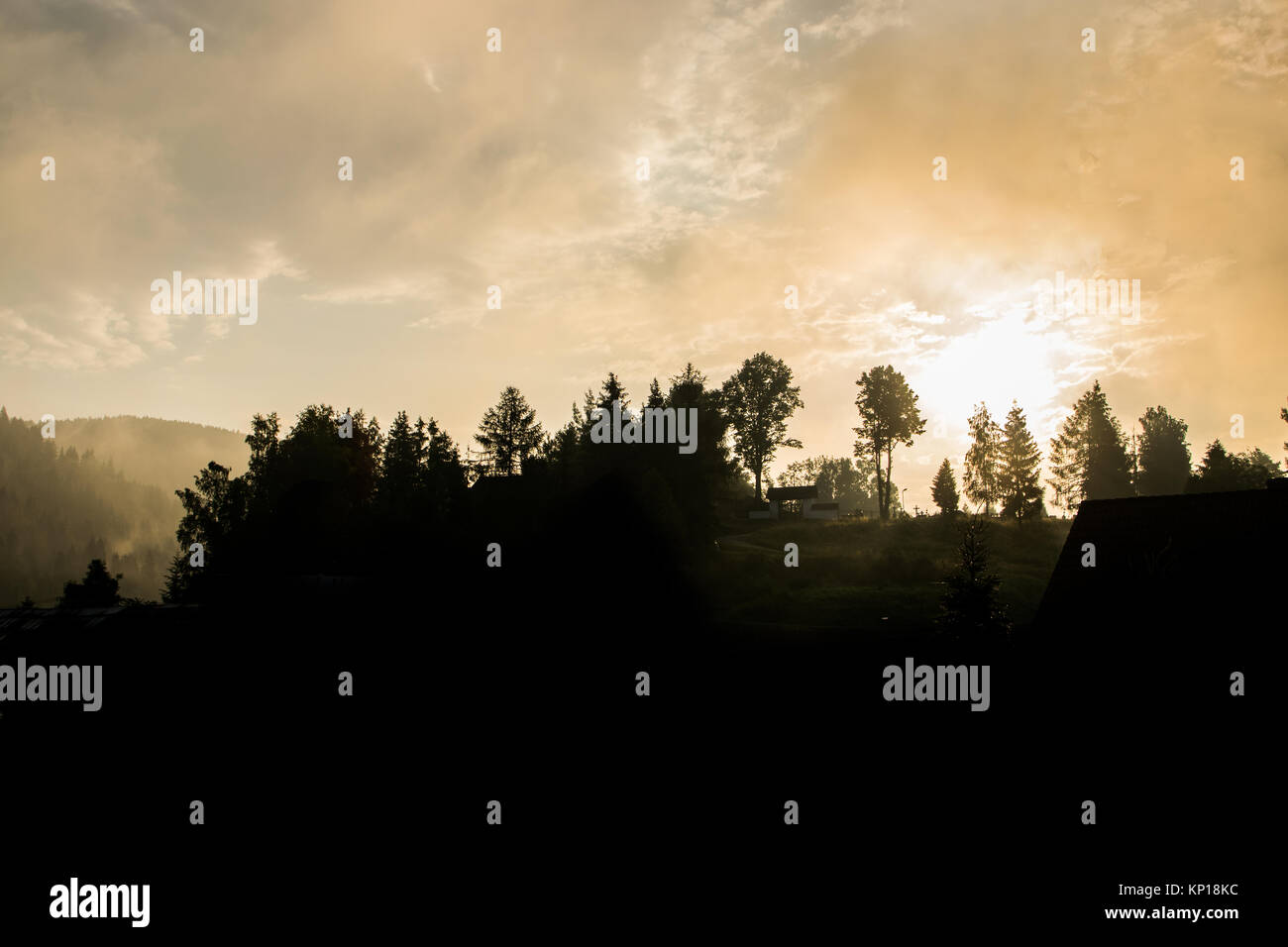 Sunrise from behind the trees Stock Photo - Alamy