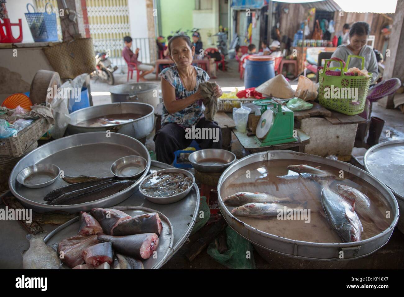 market fish vendor woman Tan Thach Vietnam Stock Photo - Alamy