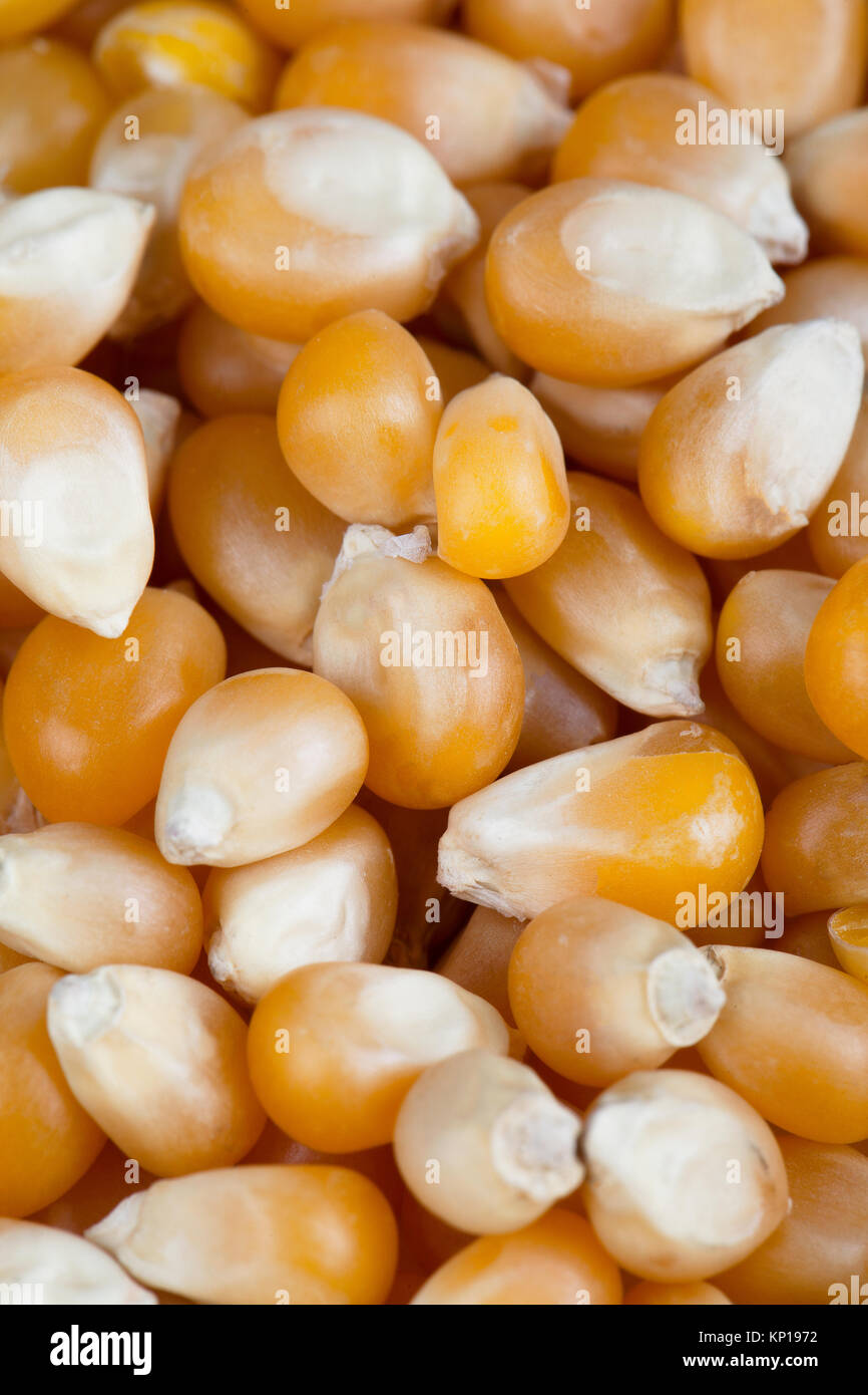 Kernel corn hi-res stock photography and images - Alamy