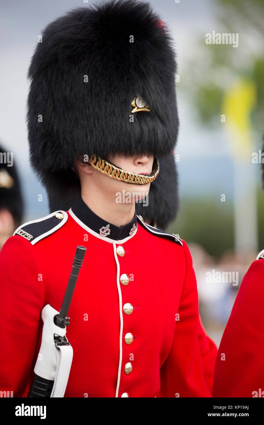 The soldier bear hi-res stock photography and images - Alamy