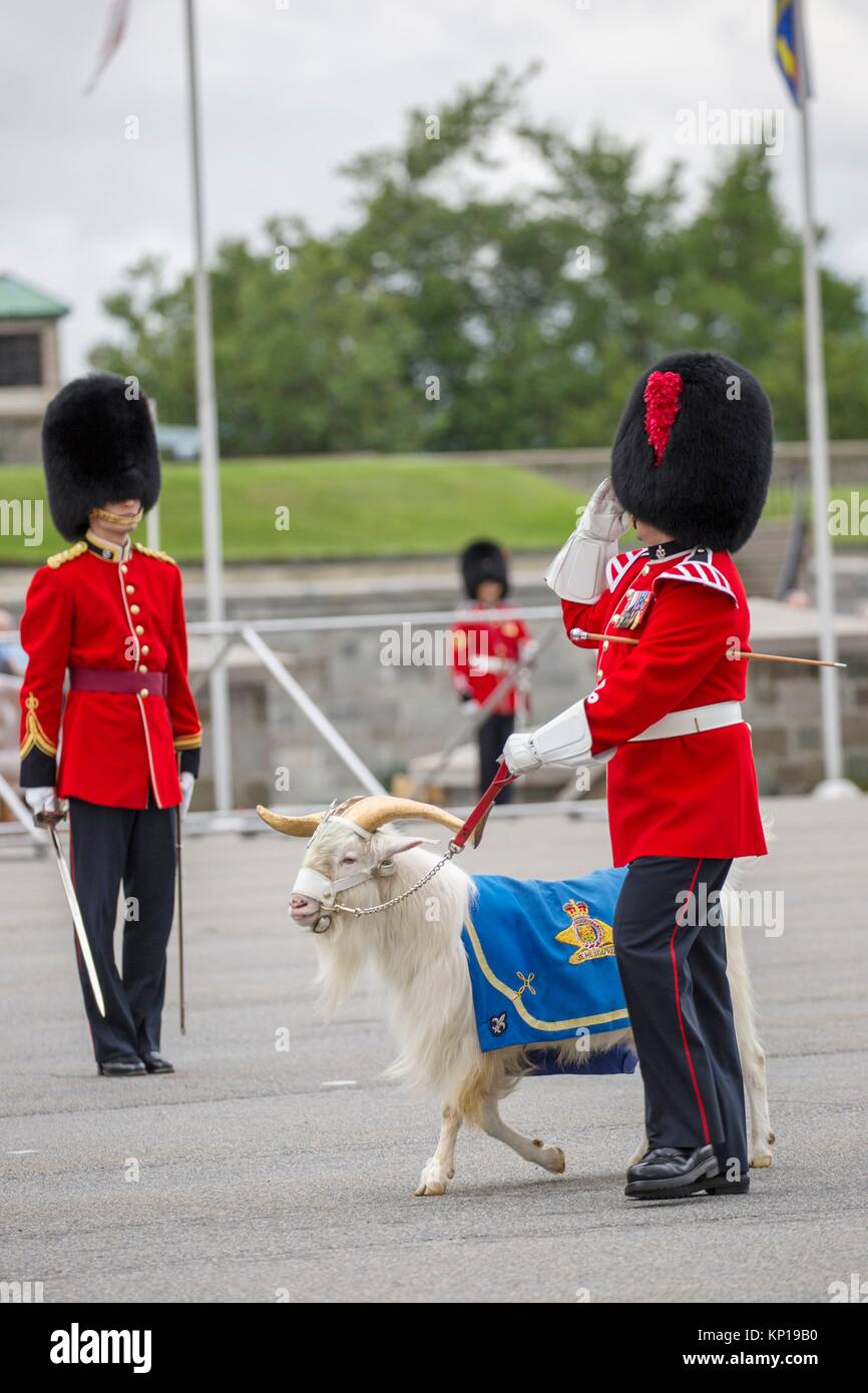 Citadelle De Québec High Resolution Stock Photography and Images - Alamy