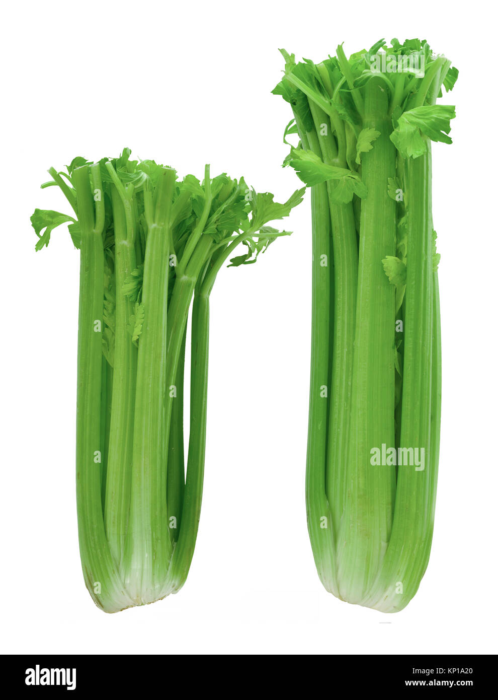 Bunches of crisp celery hi-res stock photography and images - Alamy