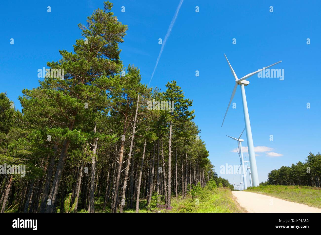 Pine tree windmill hi-res stock photography and images - Alamy