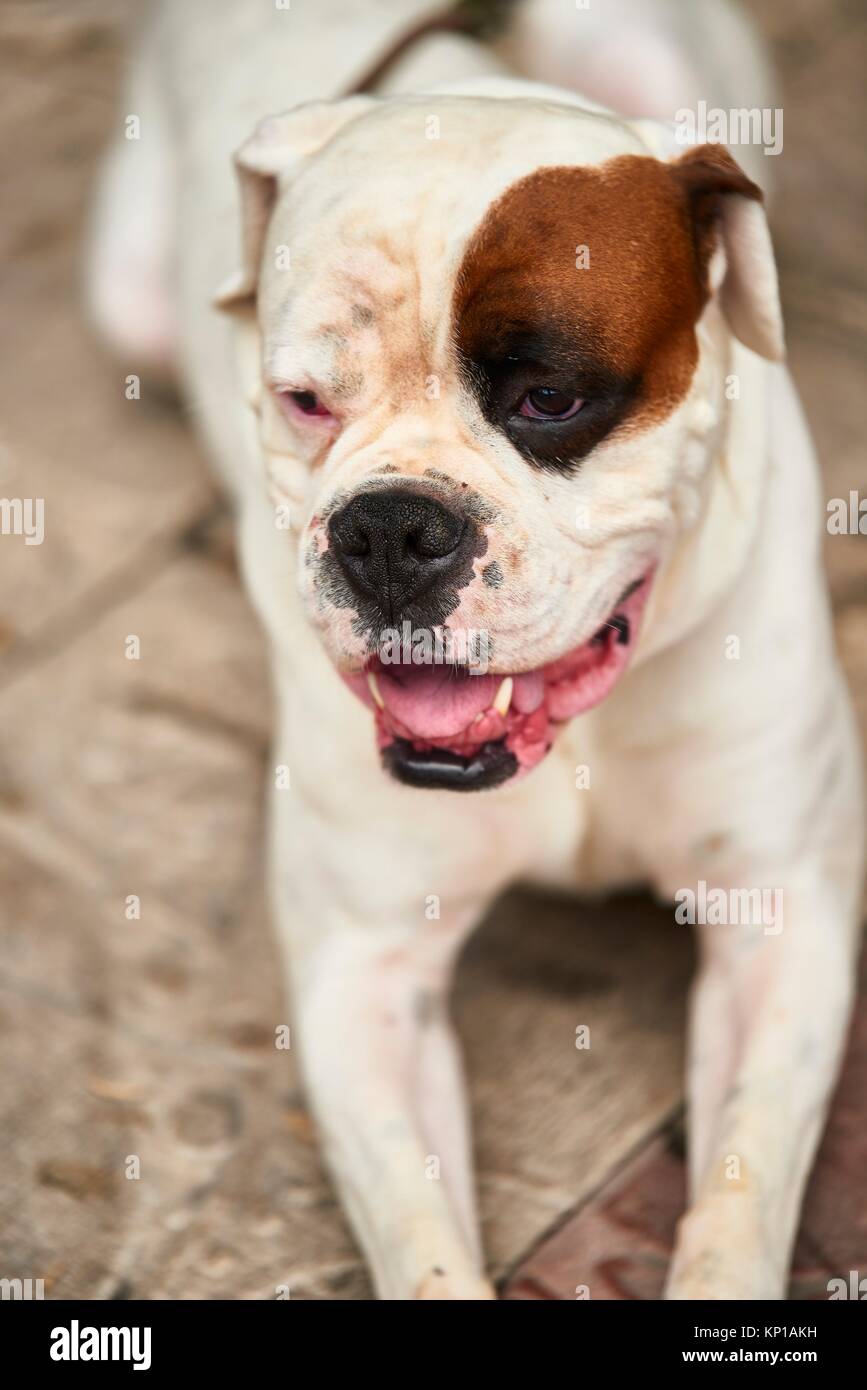 German scenic hi-res stock photography and images - Alamy