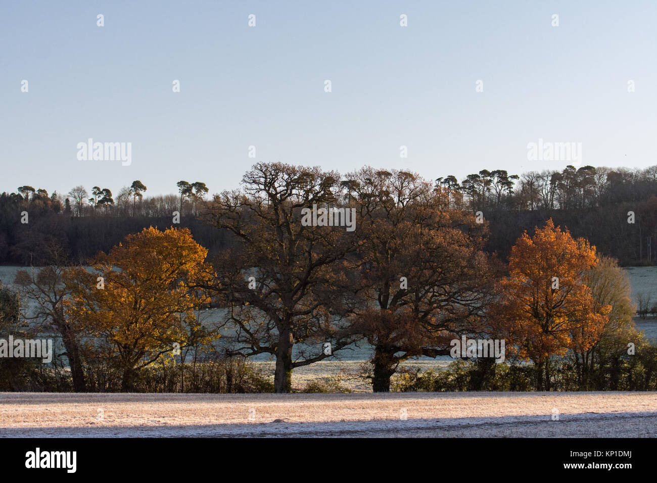 Winter scenes in the Cotswolds Stock Photo - Alamy
