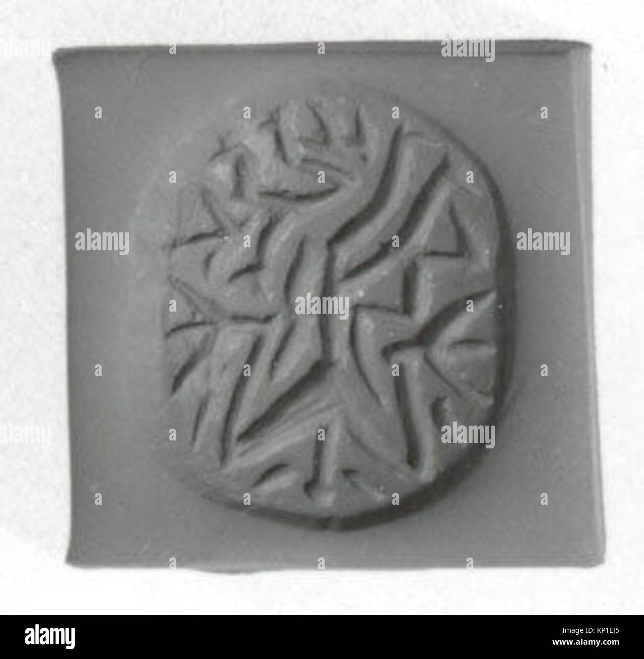 Carinated hemispheroid seal hi-res stock photography and images - Alamy