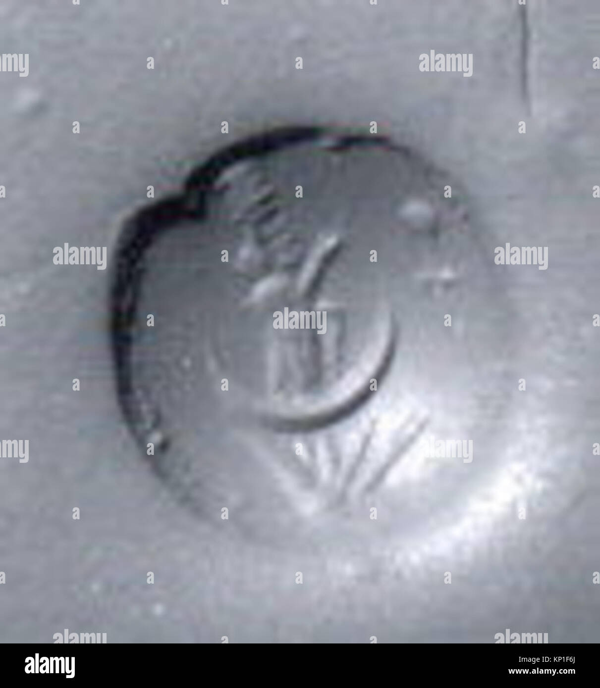 Conoid seal hi-res stock photography and images - Alamy