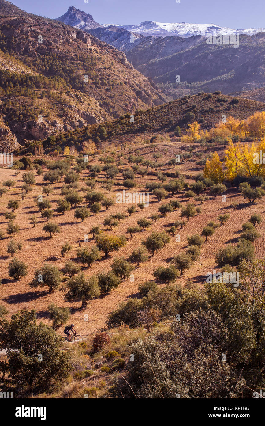 Afternoon cycle in Sierra Nevada National Park, Granada, Spain - view ...