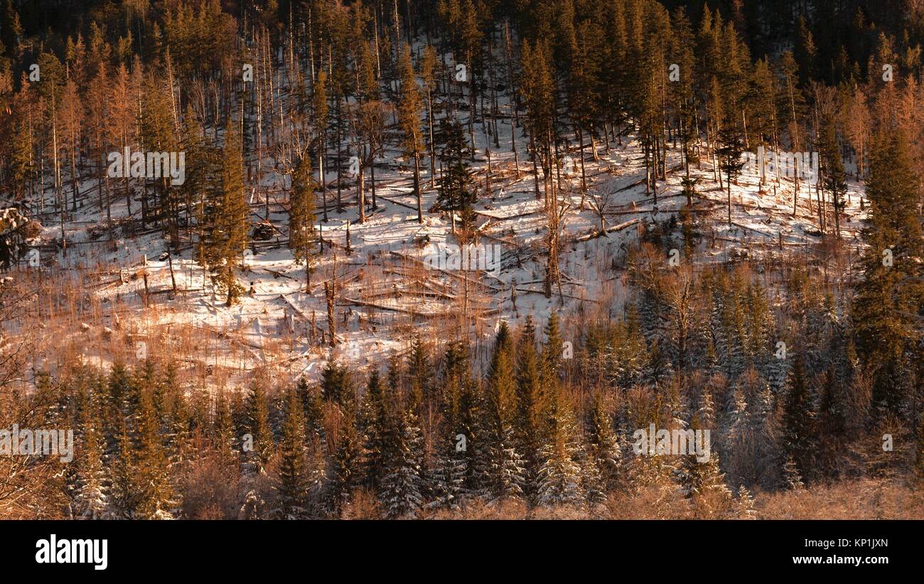 Mountain wind tatra mountains hi-res stock photography and images - Alamy