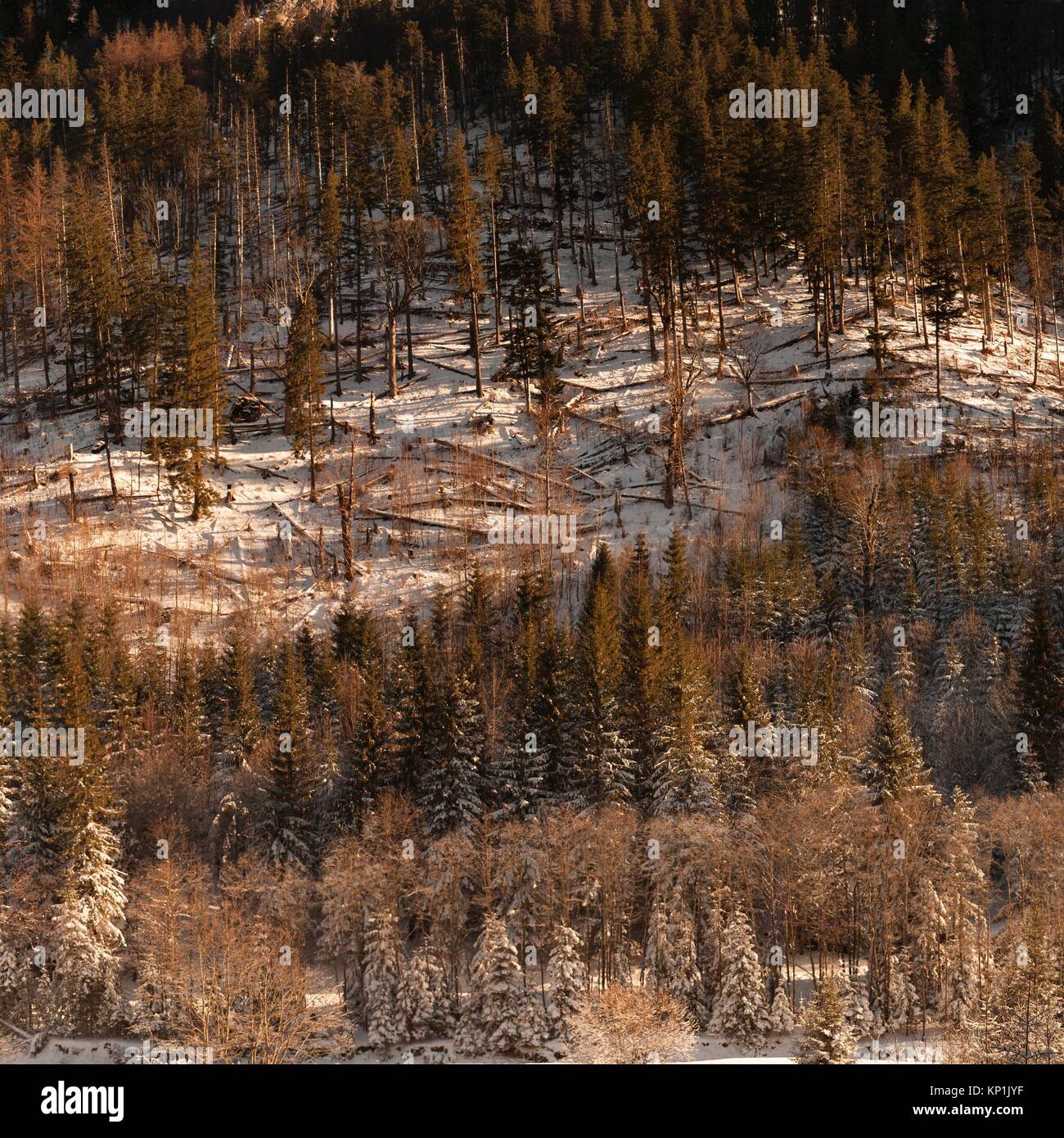 Colourful winter in snowy Tatra Mountains in Lesser Poland Stock Photo ...