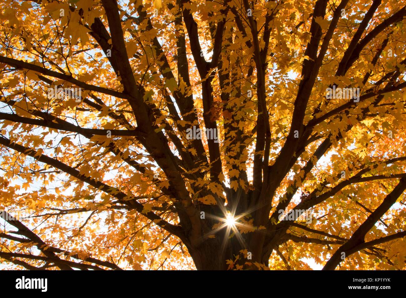 Aw stanley park hi-res stock photography and images - Alamy