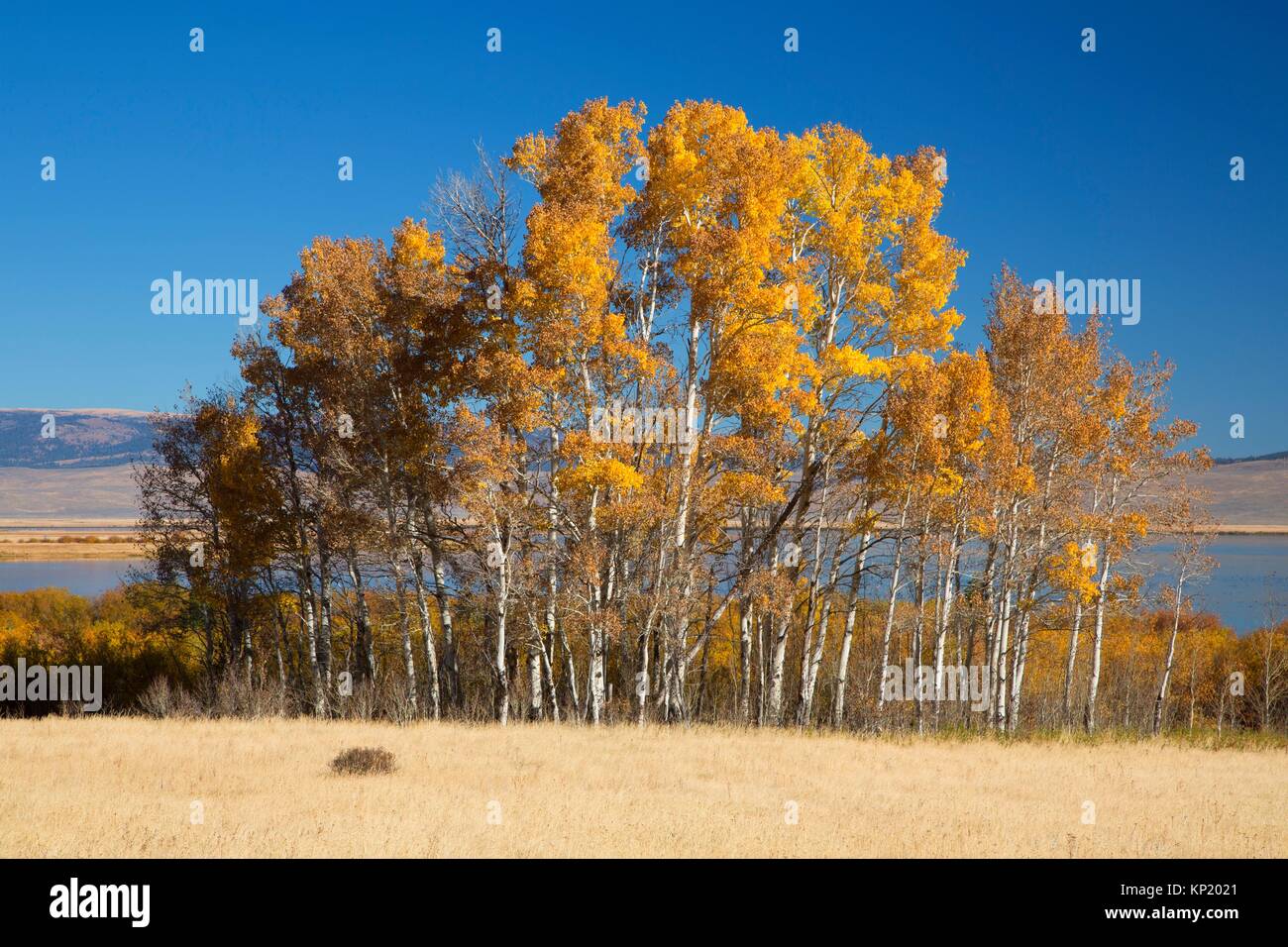 Upper red rock lake montana hi-res stock photography and images - Alamy