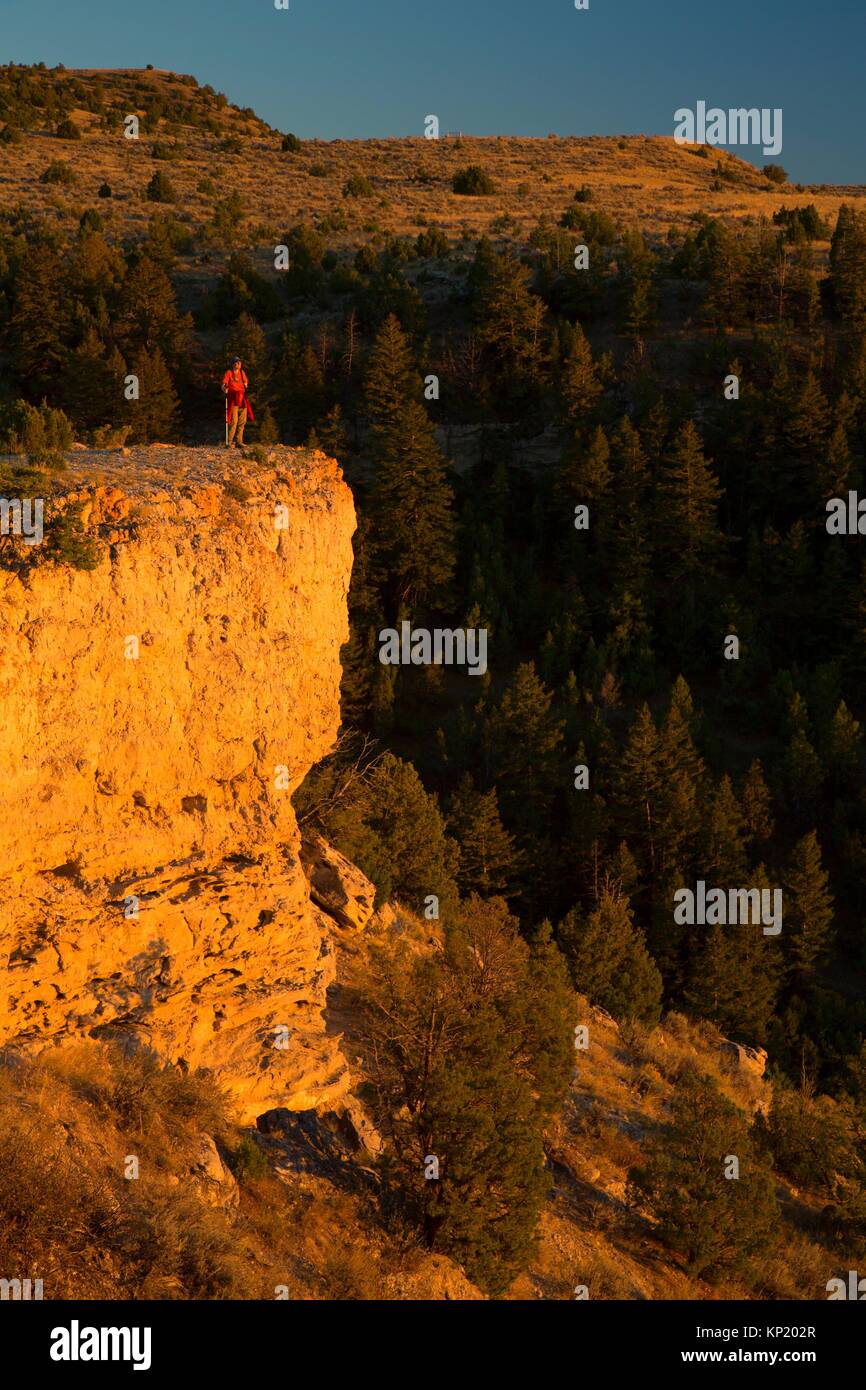 Madison Buffalo Jump, Madison Buffalo Jump State Park, Montana Stock ...