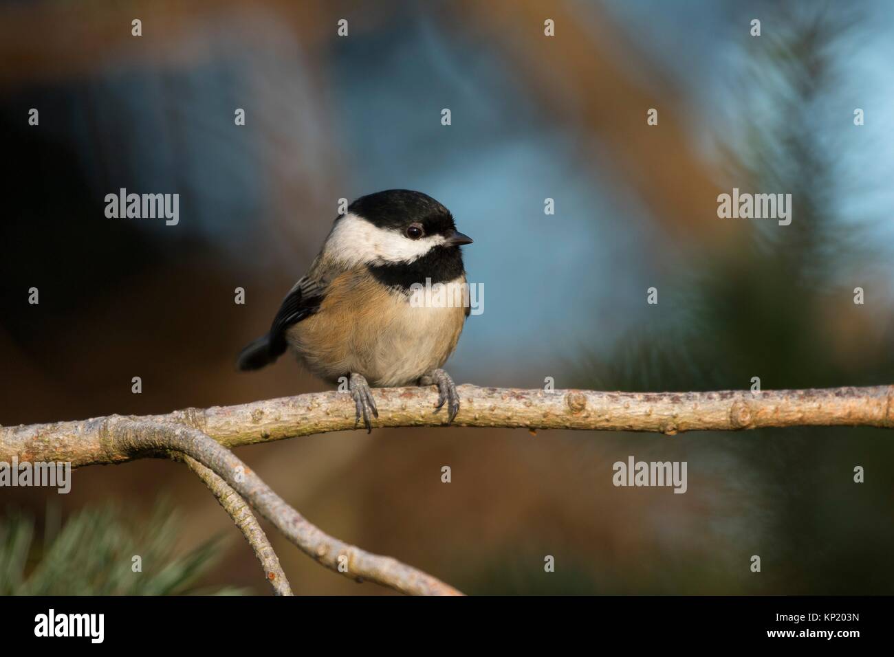 Fraser river ladner delta hi-res stock photography and images - Alamy