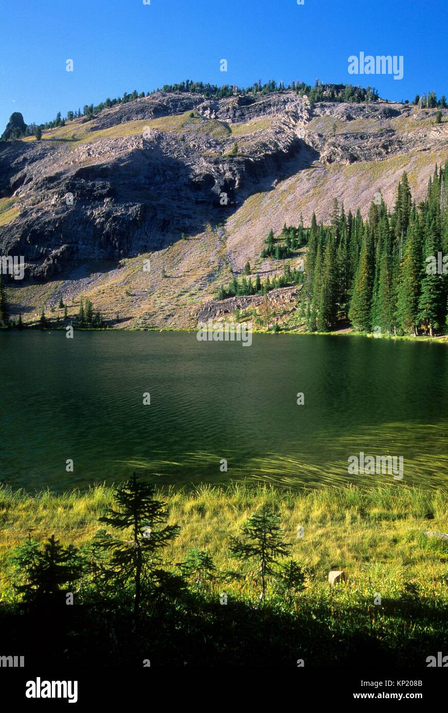 Malheur national forest hi-res stock photography and images - Alamy