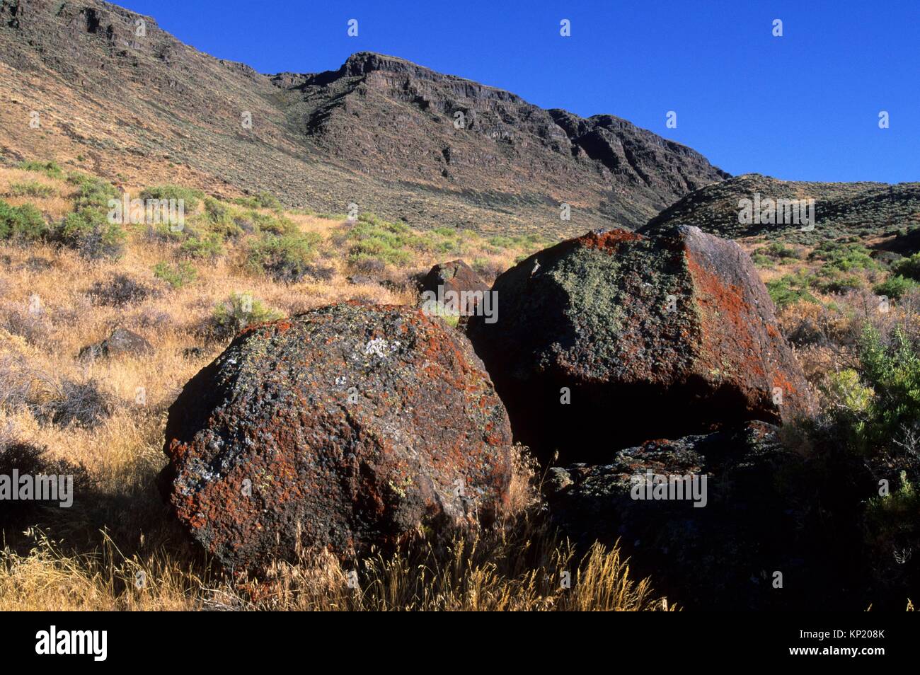 Abert rim wilderness study area hi-res stock photography and images - Alamy