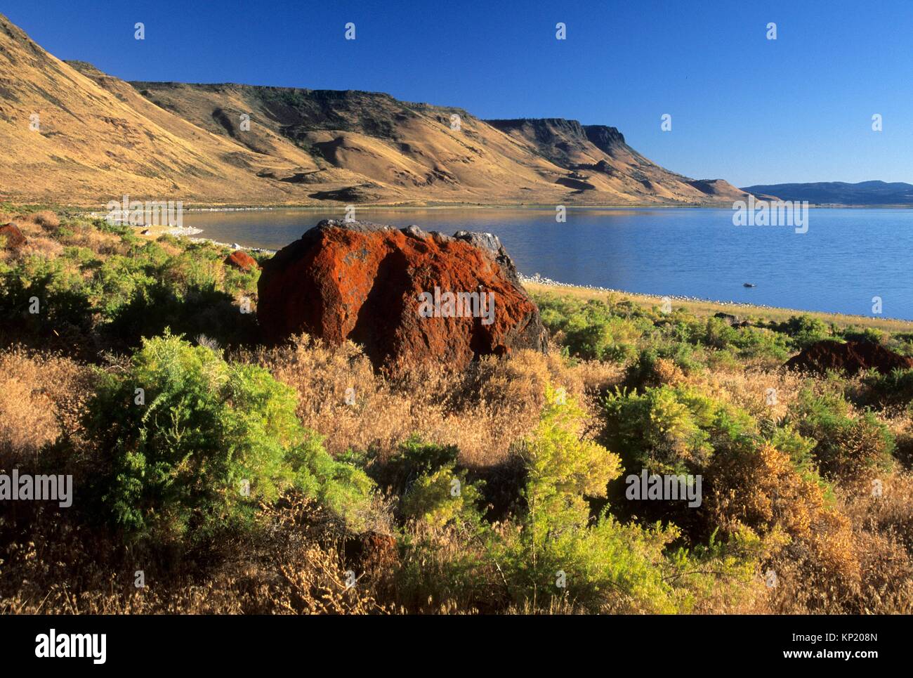 Lake abert hi-res stock photography and images - Alamy