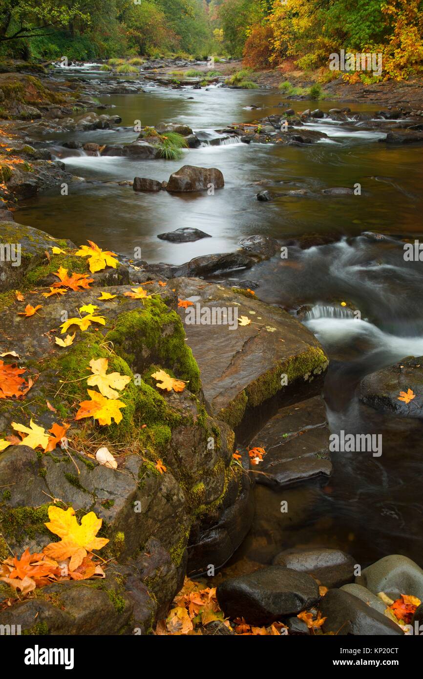 Little Luckiamute River High Resolution Stock Photography and Images ...