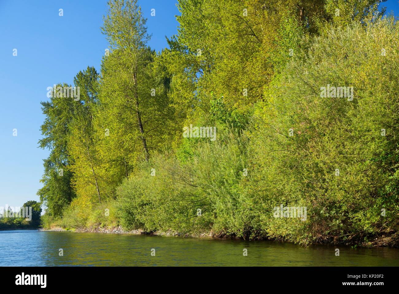 Santiam river hi-res stock photography and images - Alamy