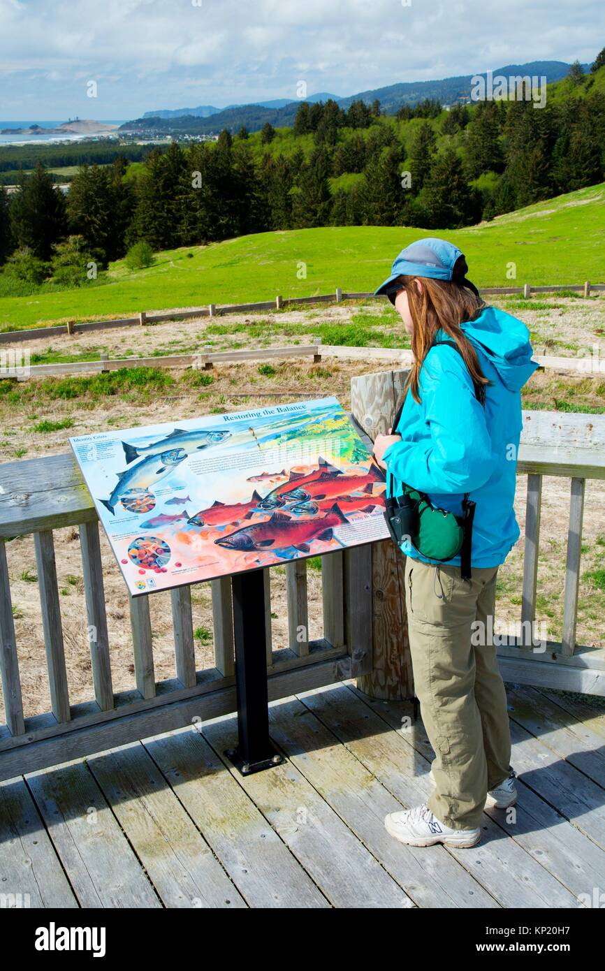 Interpretive boardwalk hi-res stock photography and images - Alamy