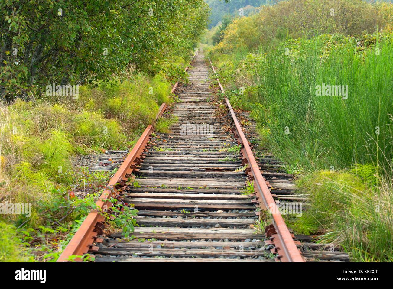Abandoned Railroad High Resolution Stock Photography and Images - Alamy
