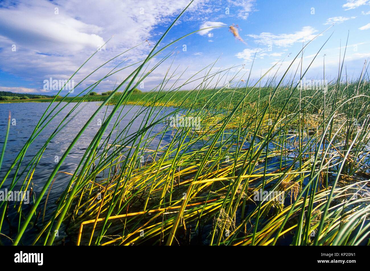 Canoe on the upper klamath lake hi-res stock photography and images - Alamy