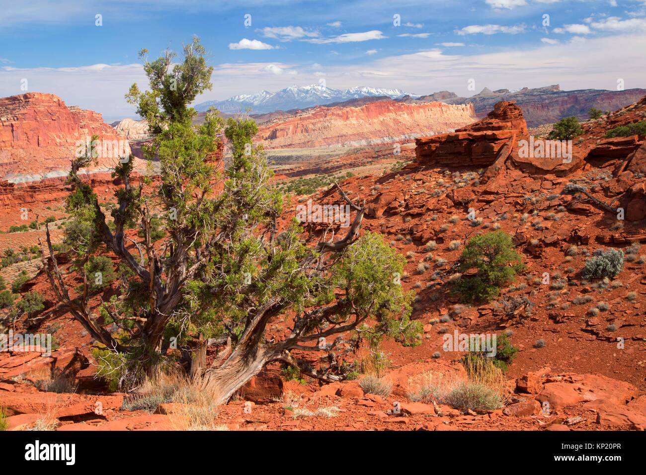 Reef point park hi-res stock photography and images - Alamy
