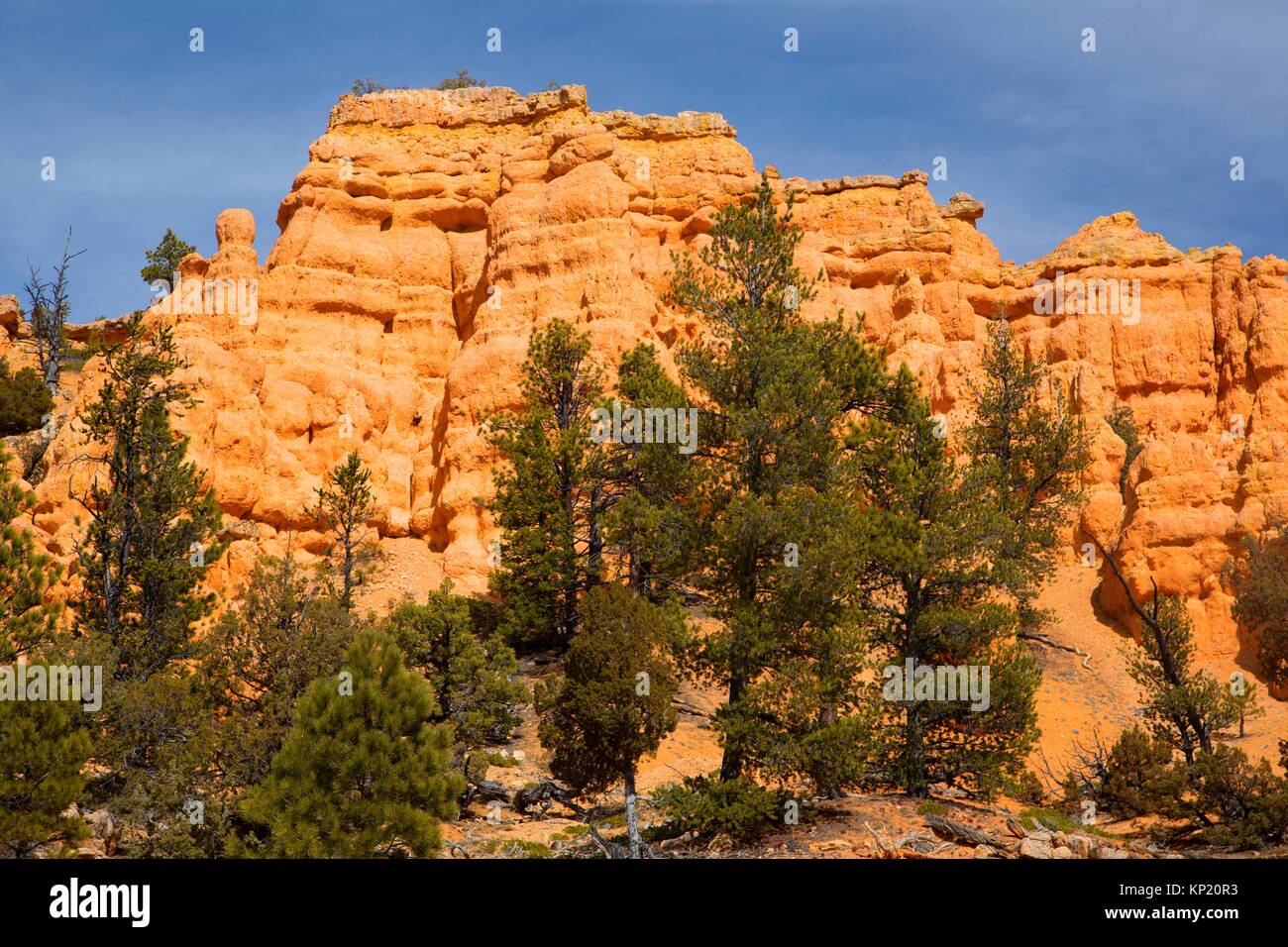 Highway 12 scenic byway hi-res stock photography and images - Alamy