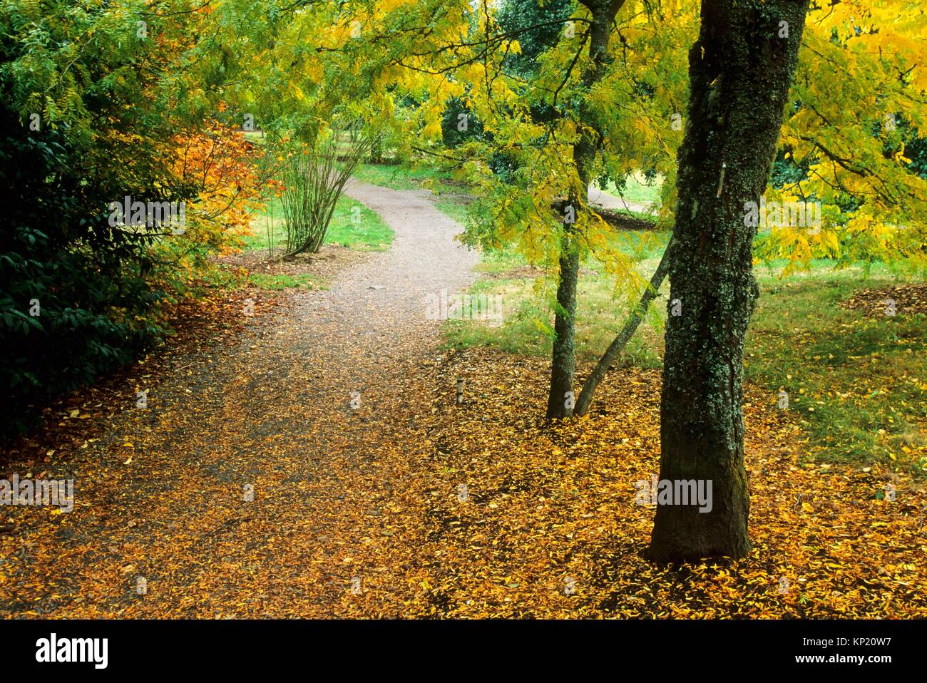 Portland oregon washington park hi-res stock photography and images - Alamy