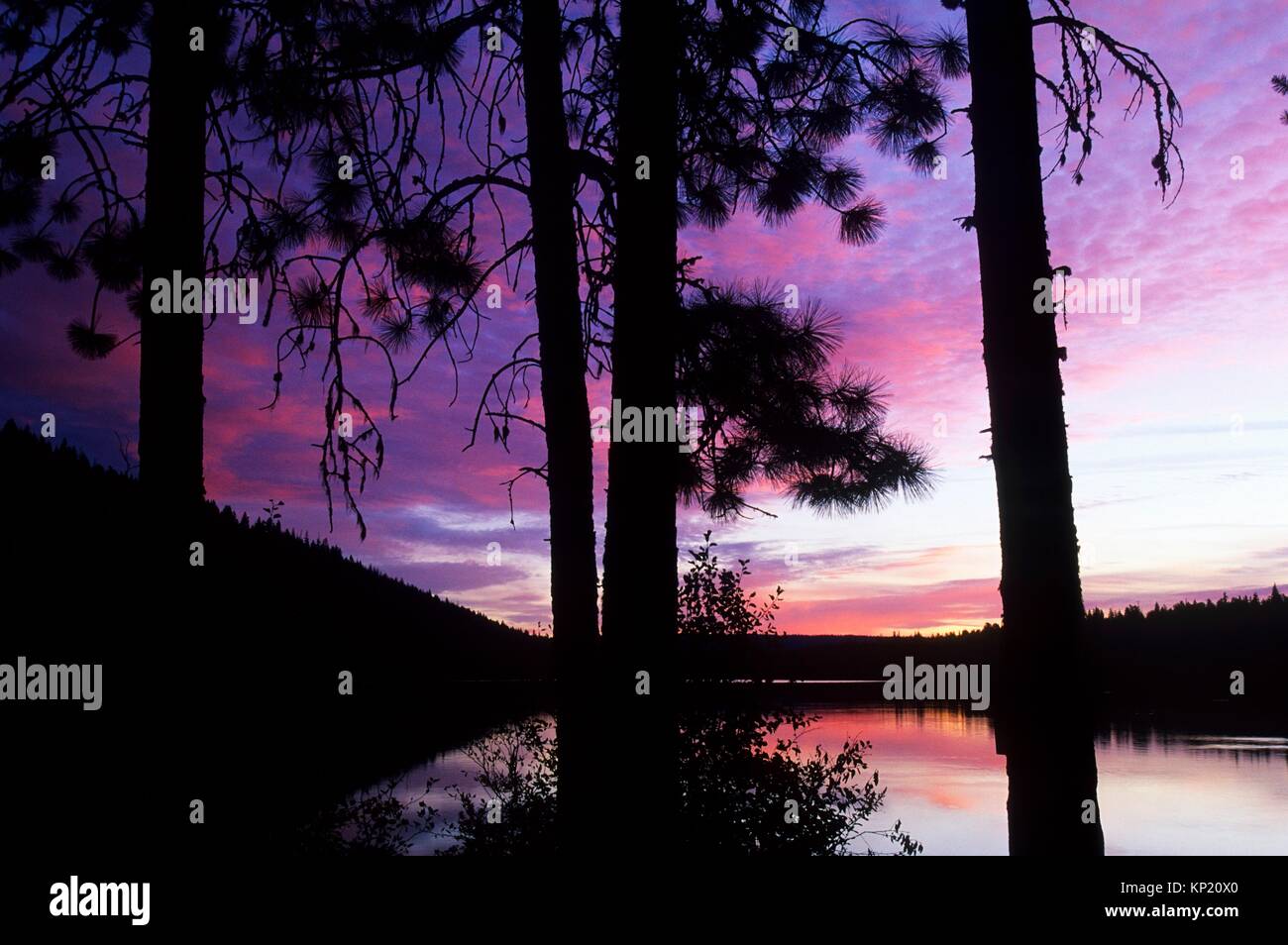 Suttle hi-res stock photography and images - Alamy