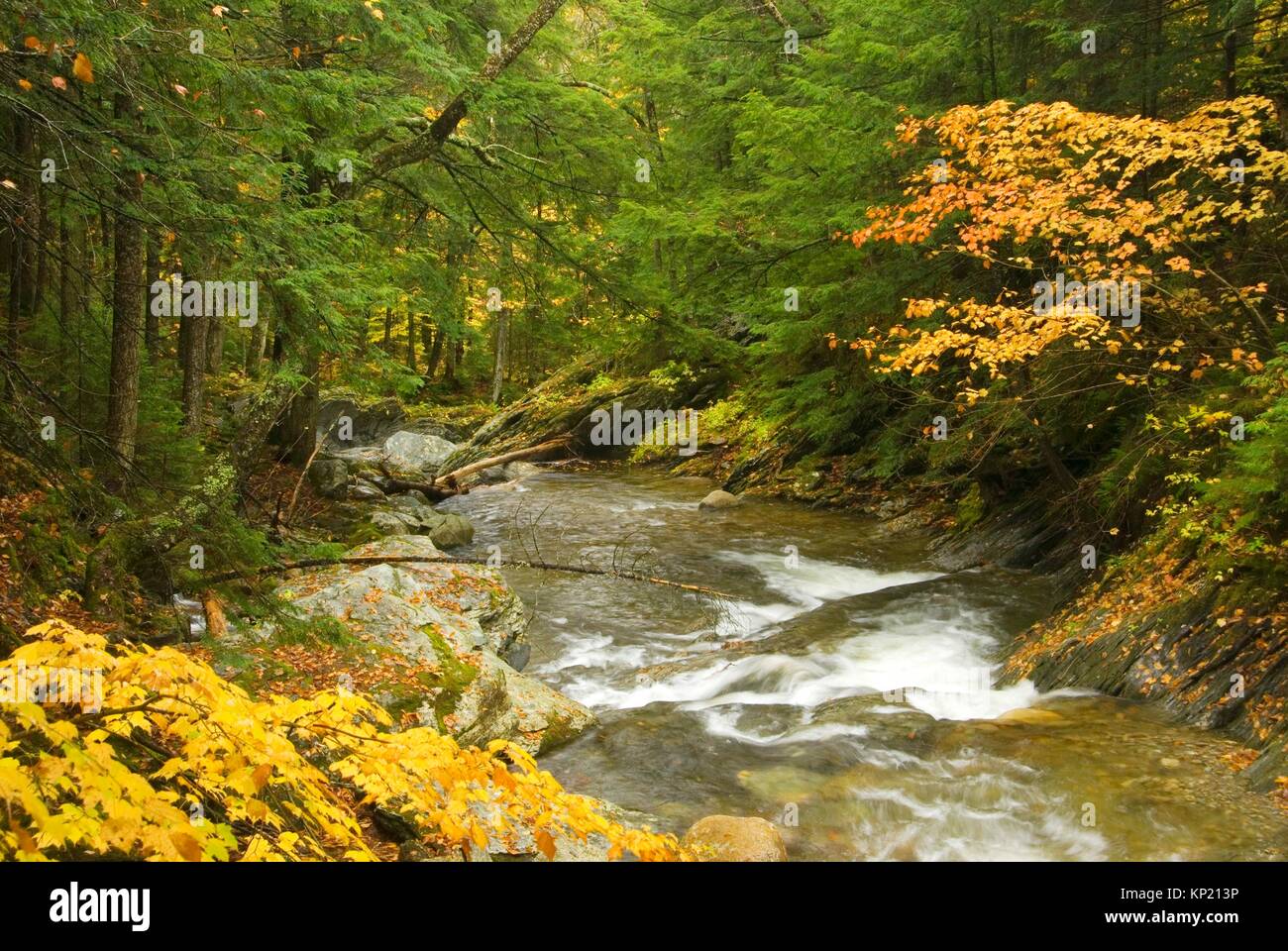 Vermont fall foliage hiking hi-res stock photography and images - Alamy