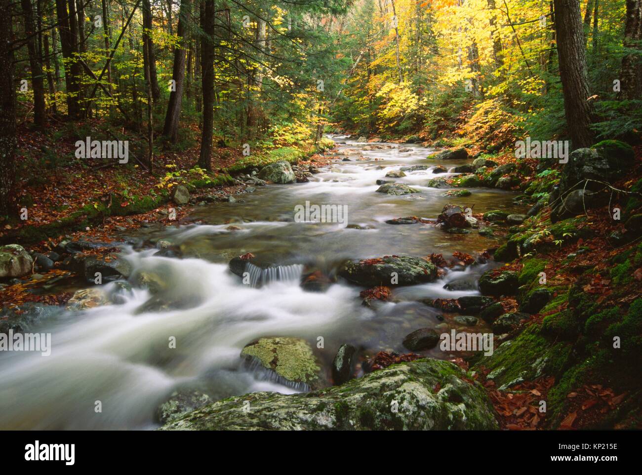 Green mountain national forest vermont hi-res stock photography and ...