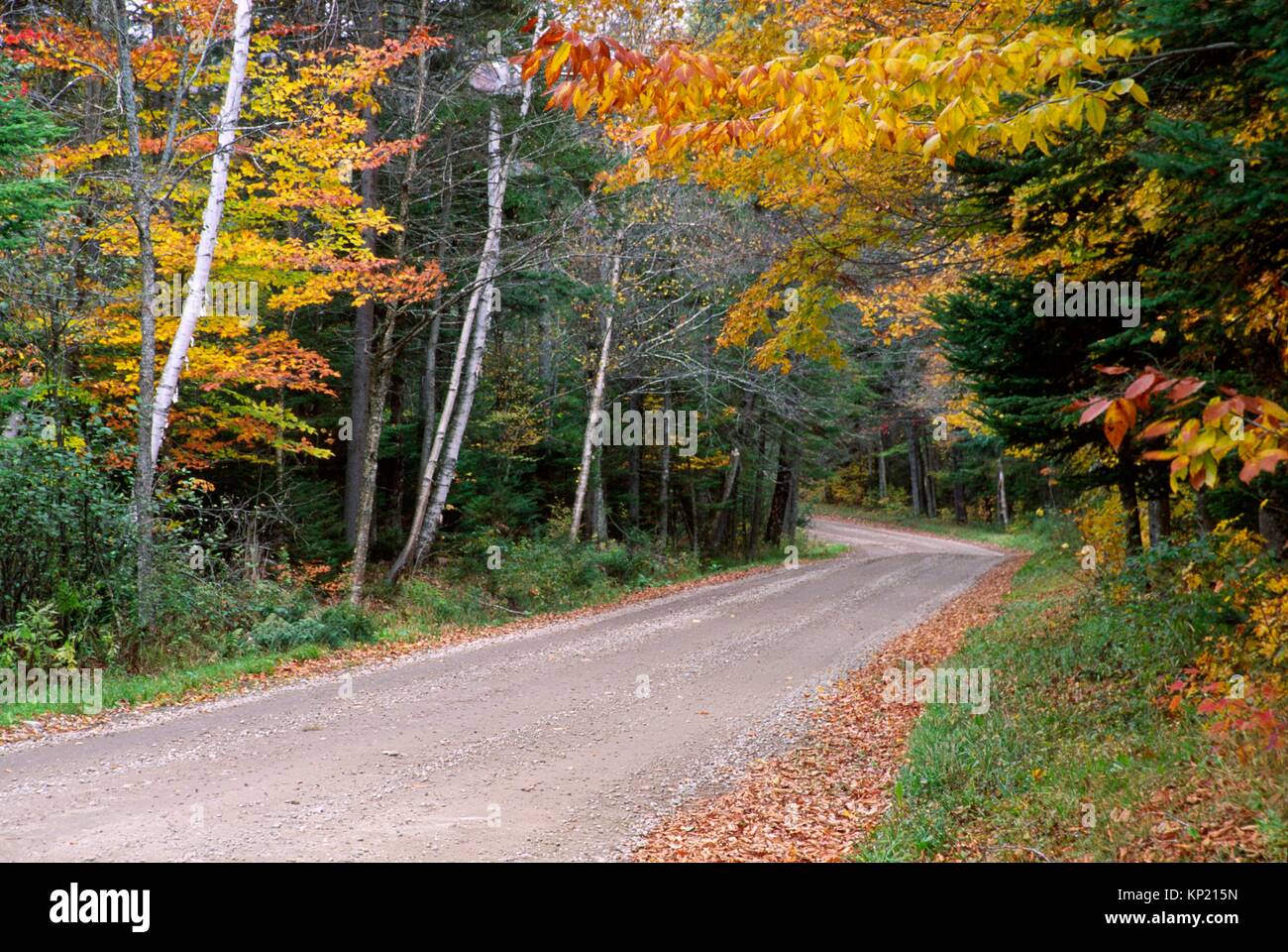 Green mountain national forest vermont hi-res stock photography and ...