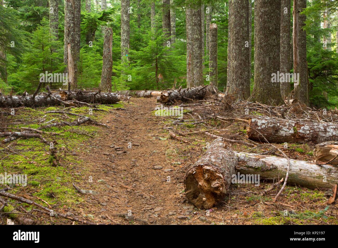 North ridge trail hi-res stock photography and images - Alamy