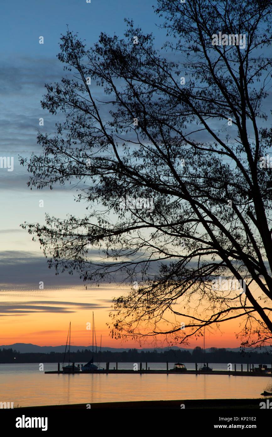 Fern ridge lake, oregon hi-res stock photography and images - Alamy