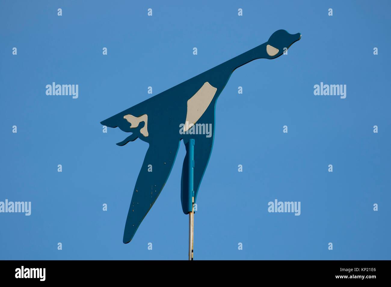 Wind vane usa hi-res stock photography and images - Alamy
