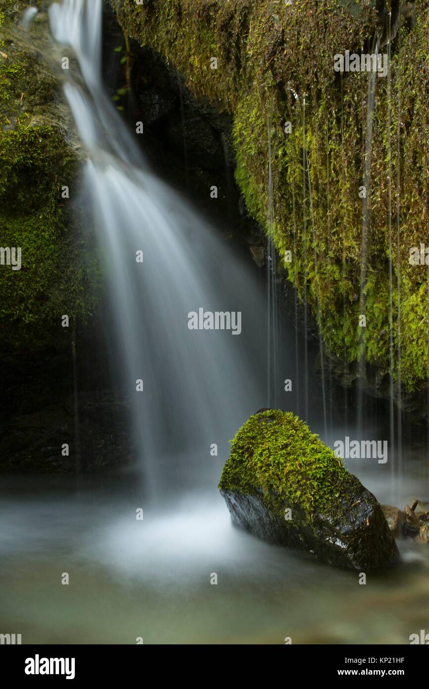 Six rivers national forest hi-res stock photography and images - Alamy