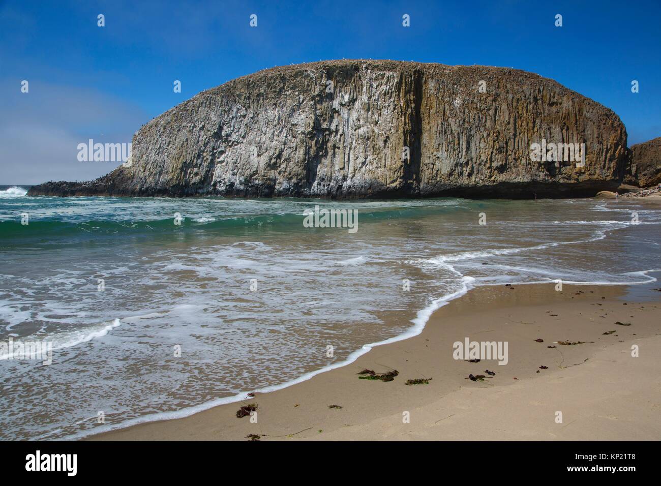 Seal Rock Stock Photos & Seal Rock Stock Images - Alamy