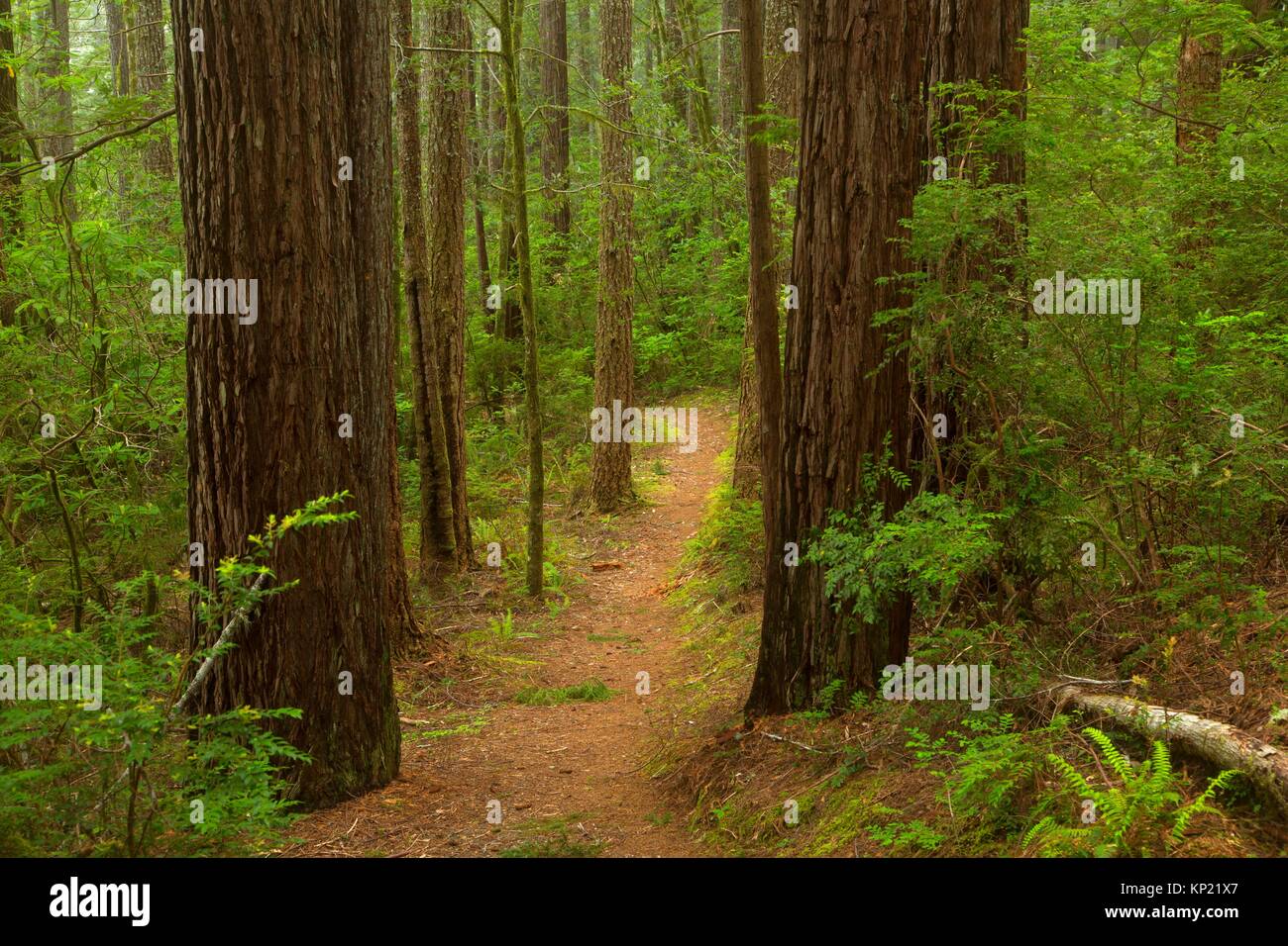 Interpretive trail hi-res stock photography and images - Alamy
