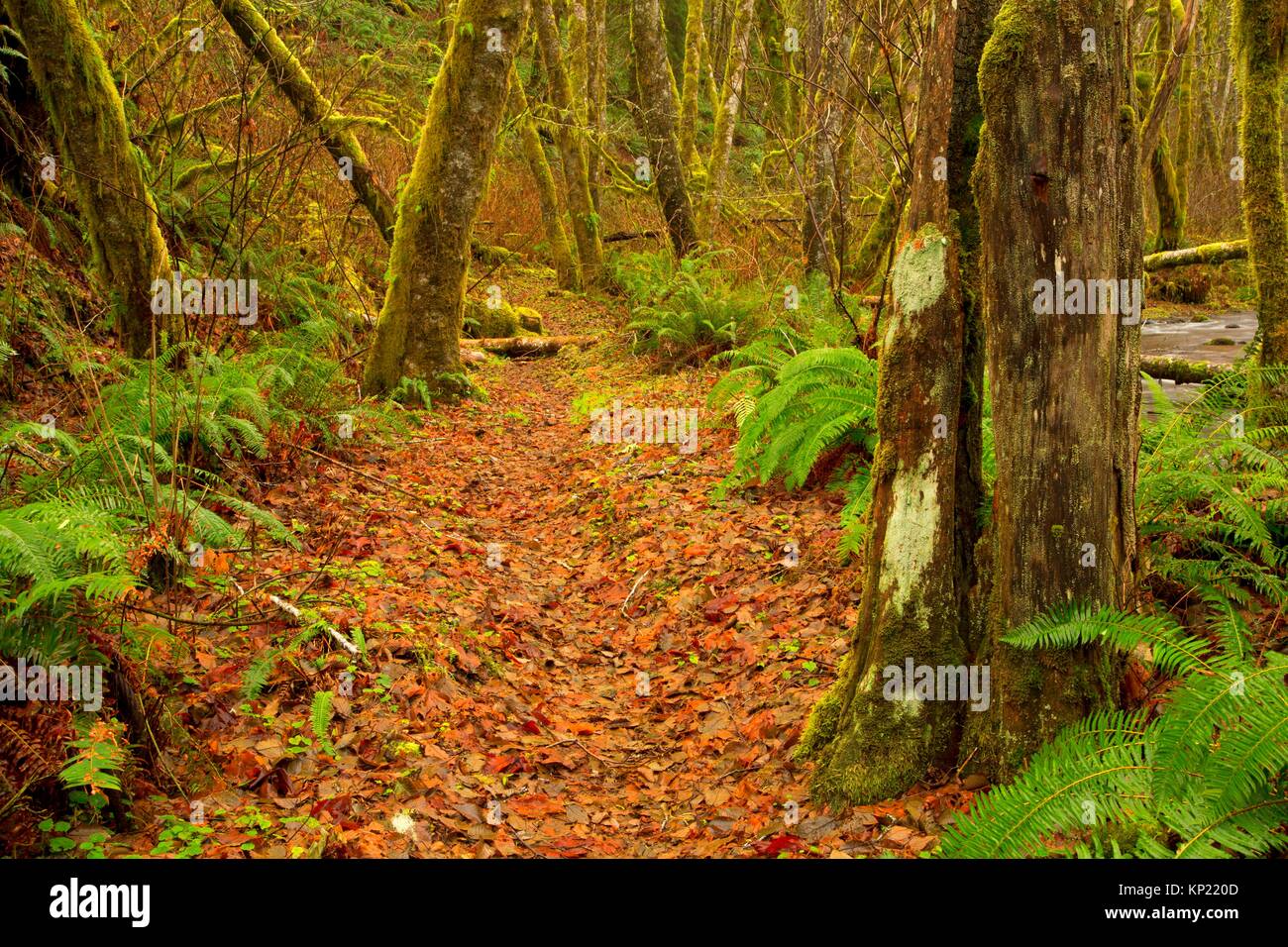 Spruce run hi-res stock photography and images - Alamy