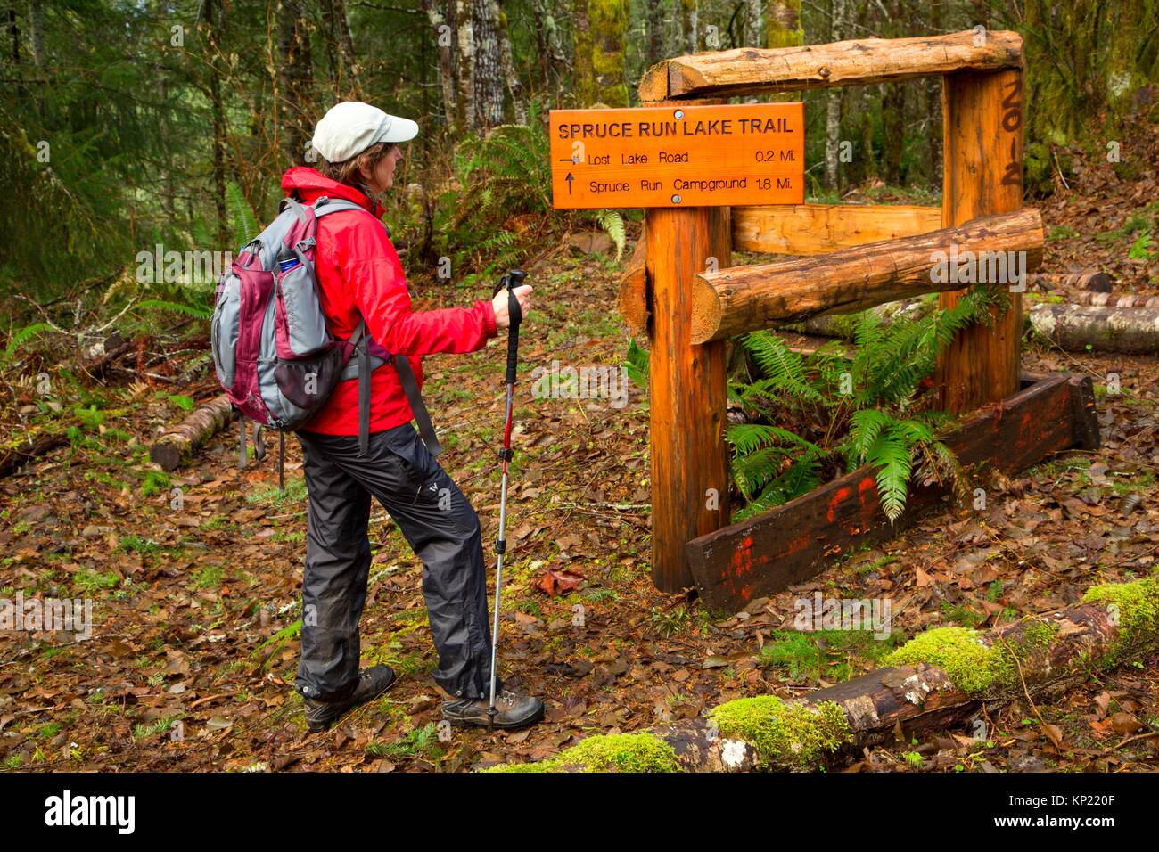 Spruce Run Creek Trail junction sign, Clatsop State Forest, Oregon ...